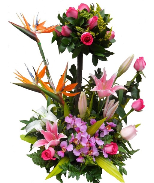 Ramo rosas fucsia